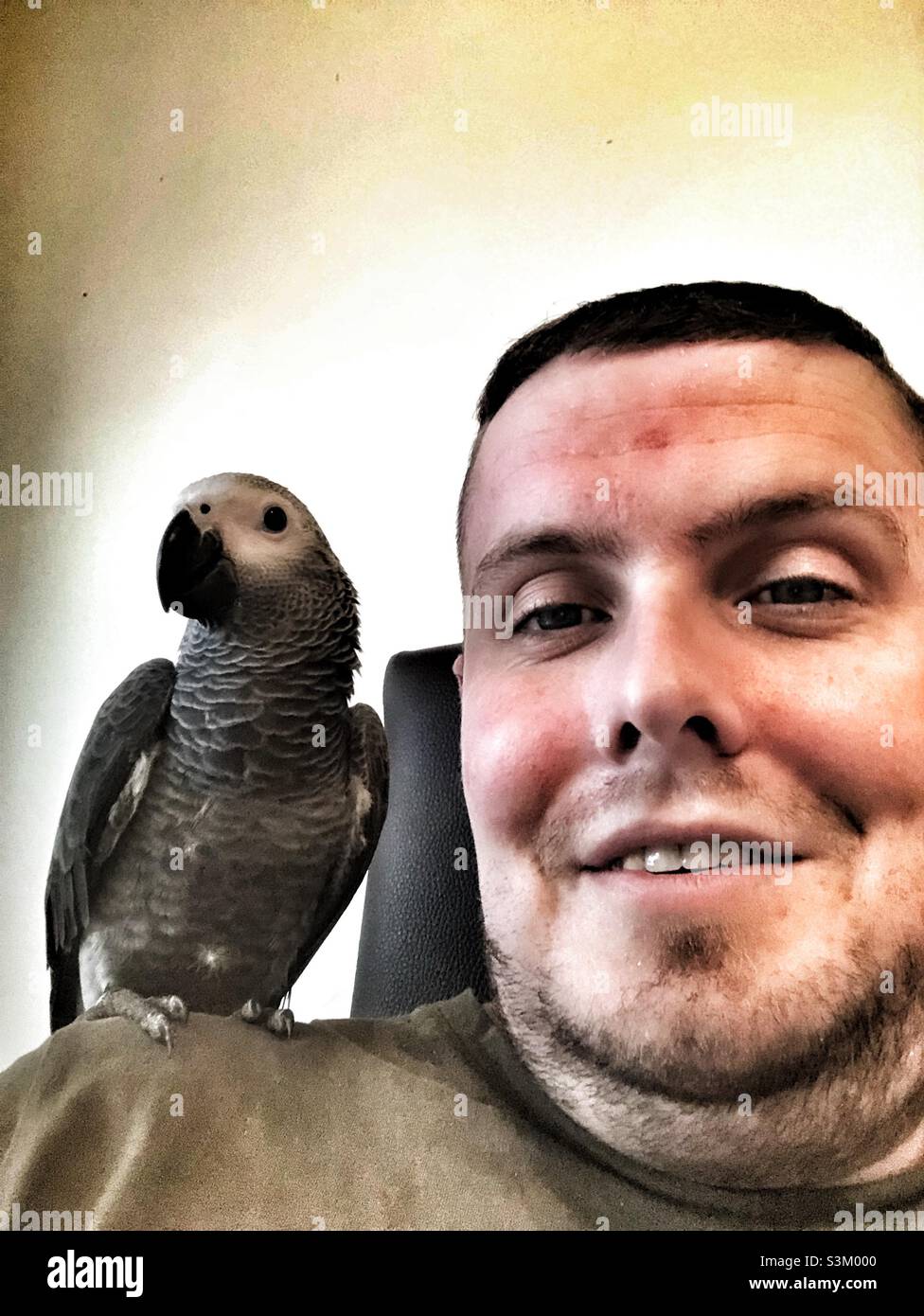 African grey parrot on shoulder hi-res stock photography and images - Alamy