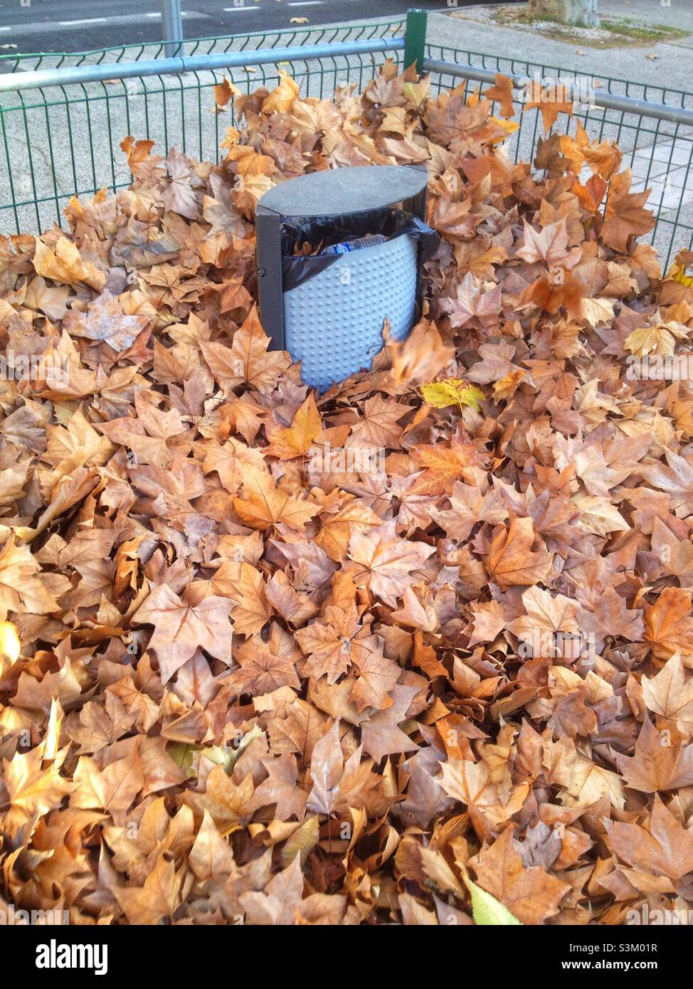 Humor : The trash can is too small Stock Photo - Alamy