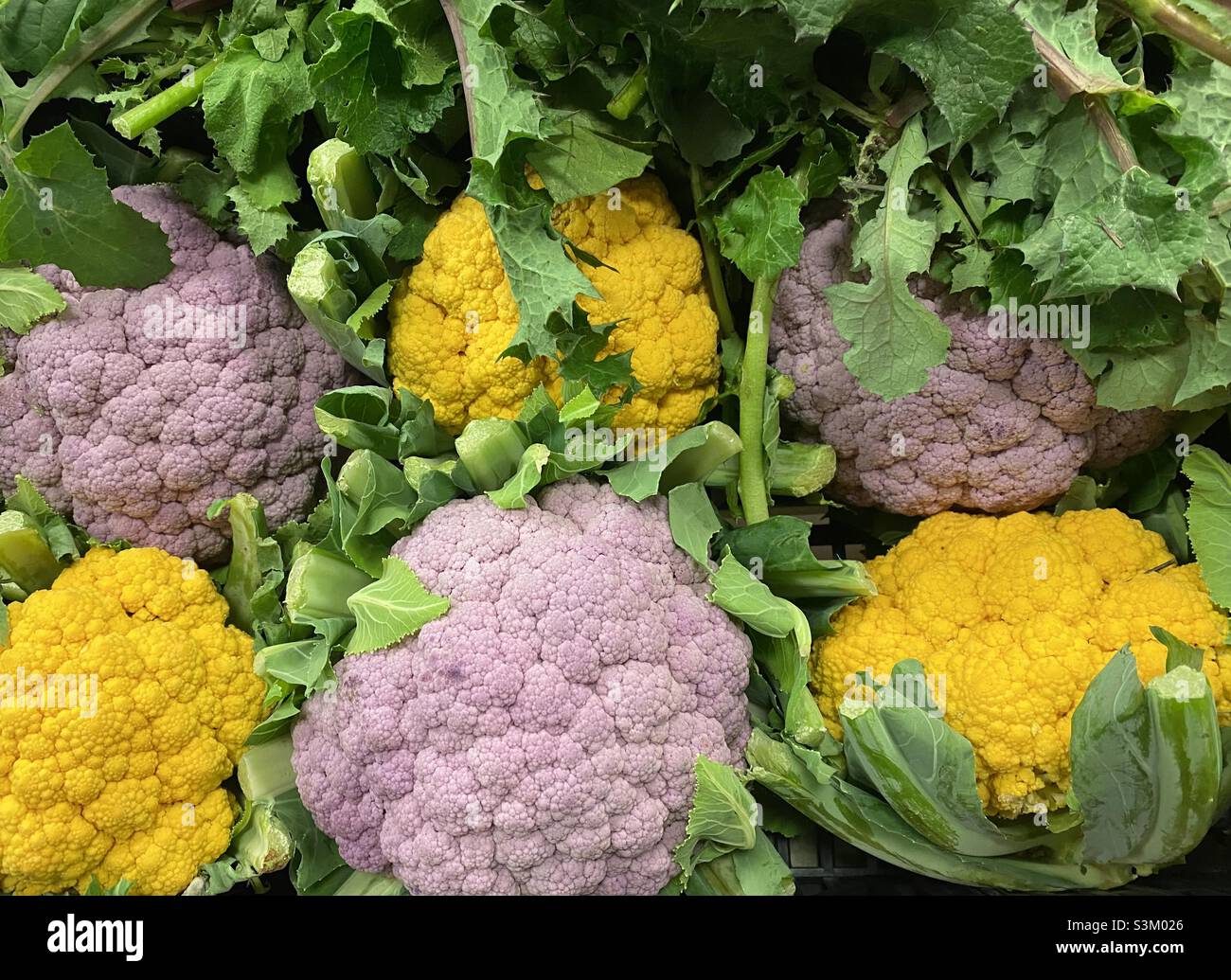 Vegetable and Food ,the beauty of color Stock Photo - Alamy