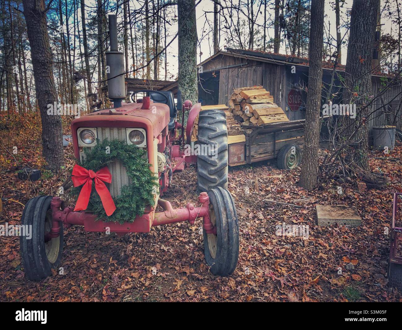 Red vintage tractor with Christmas wreath with wooden shed and trailer ...