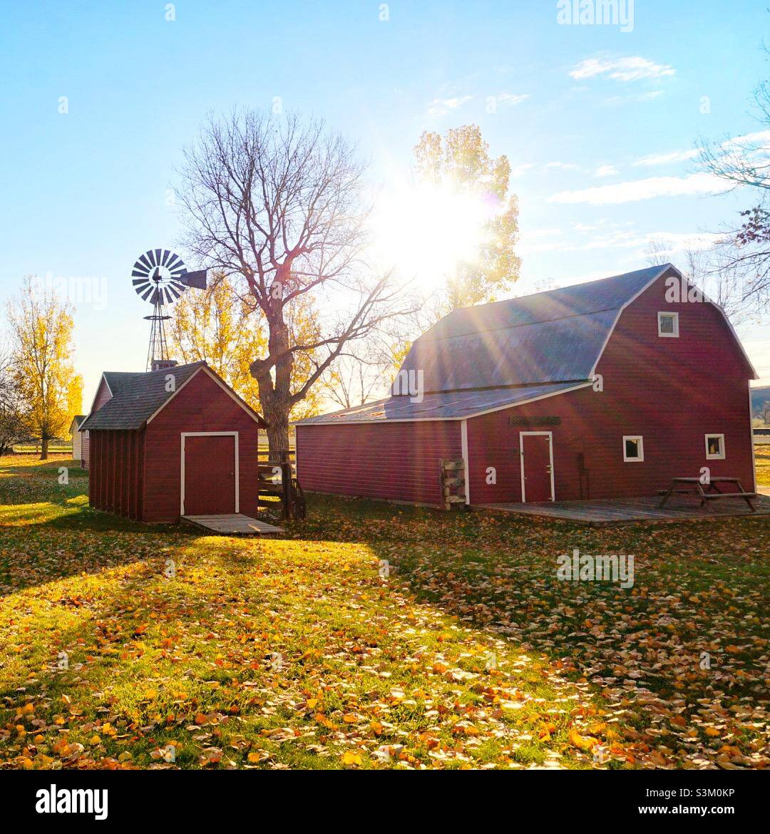 Farm sun hi-res stock photography and images - Alamy