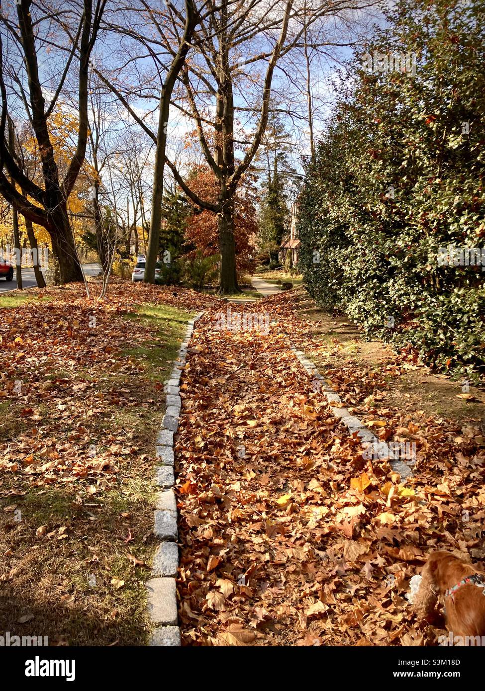 Leaf covered trail hi-res stock photography and images - Alamy