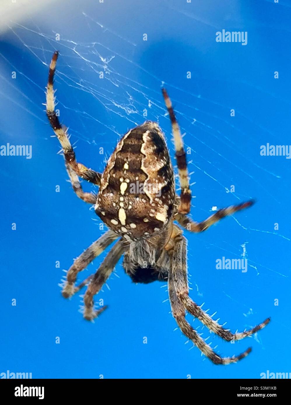 Spider sky hi-res stock photography and images - Alamy