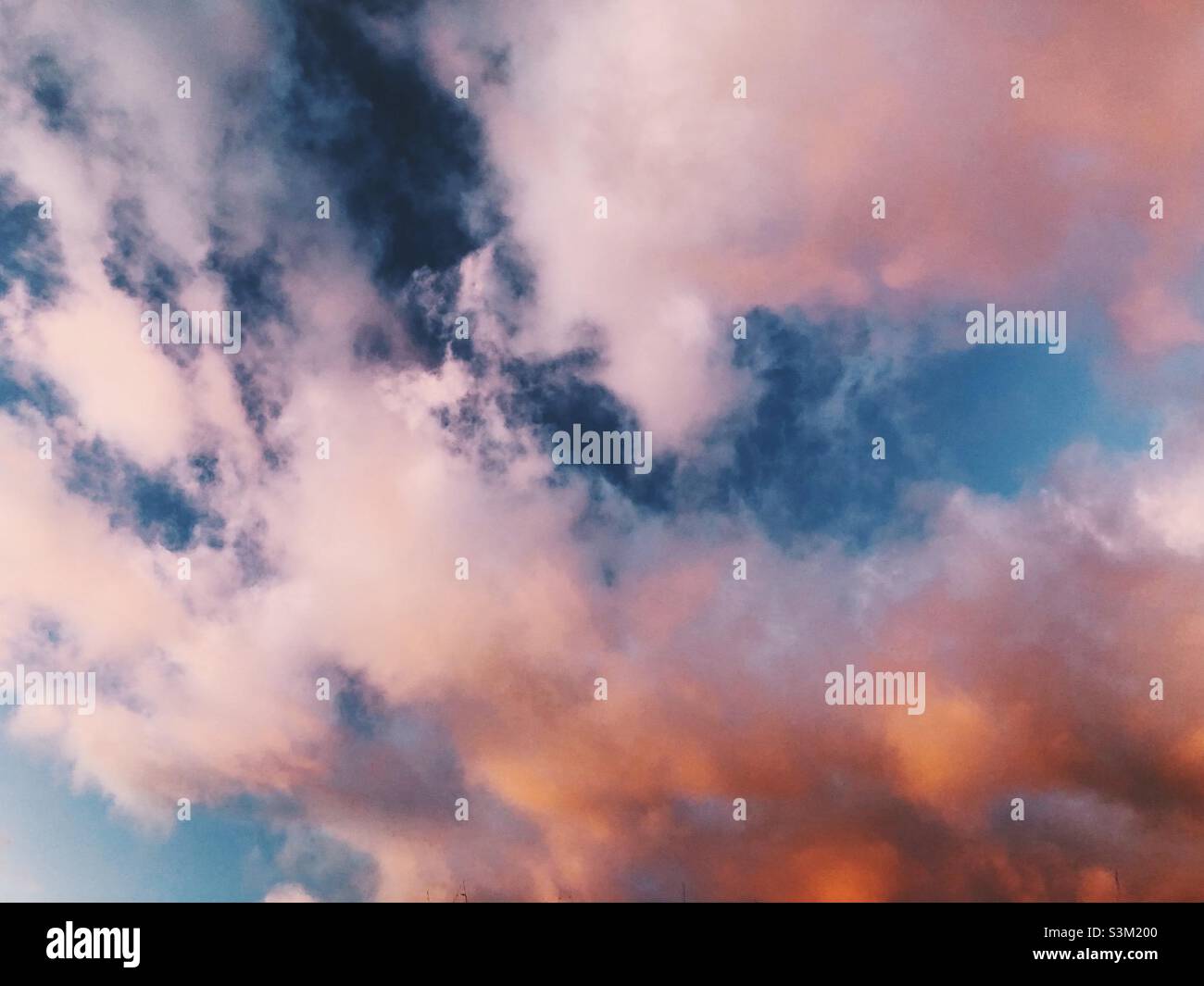 Pink clouds at sunset Stock Photo - Alamy