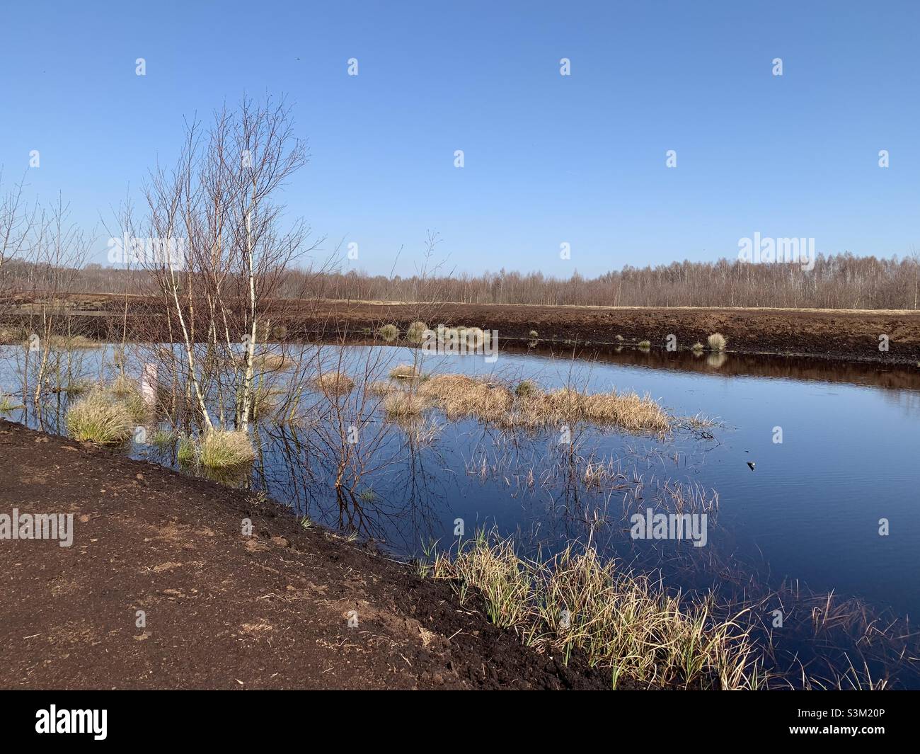 A moor landscape with water in deep blue colour, dry grass, a small ...