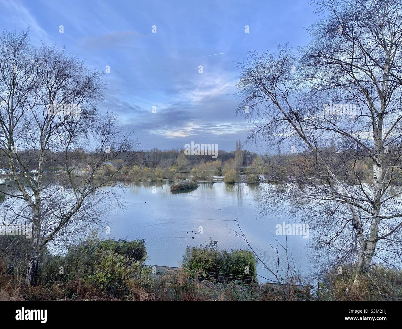 Winter in Surrey , England Stock Photo - Alamy