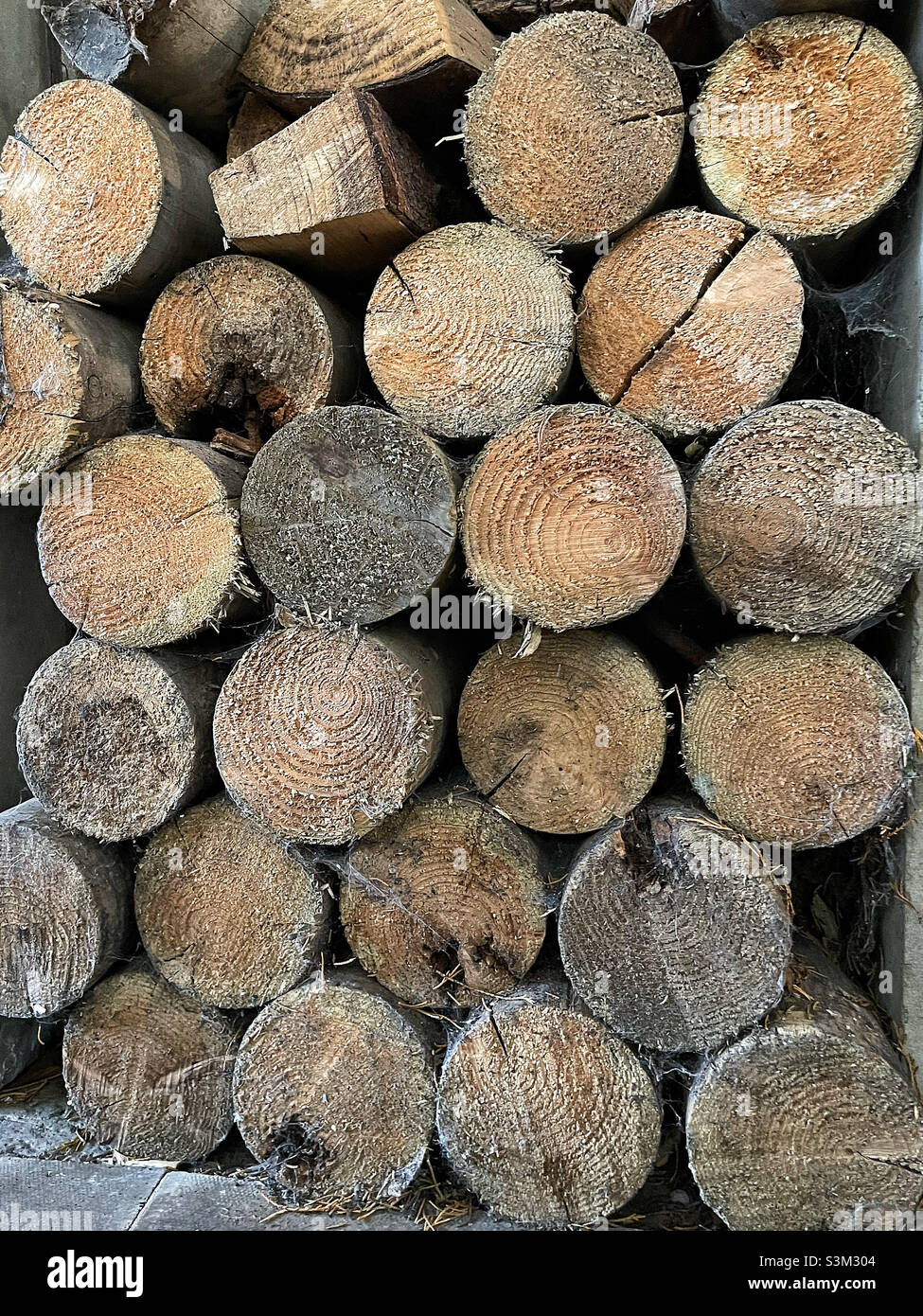 Stacked logs texture hi-res stock photography and images - Alamy