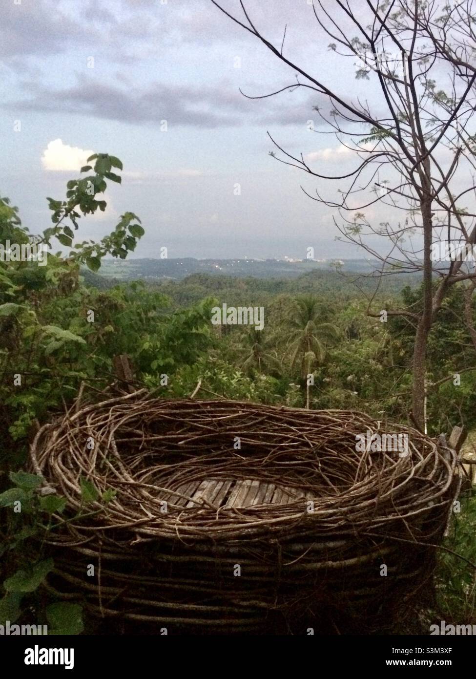 Best nest hi-res stock photography and images - Alamy