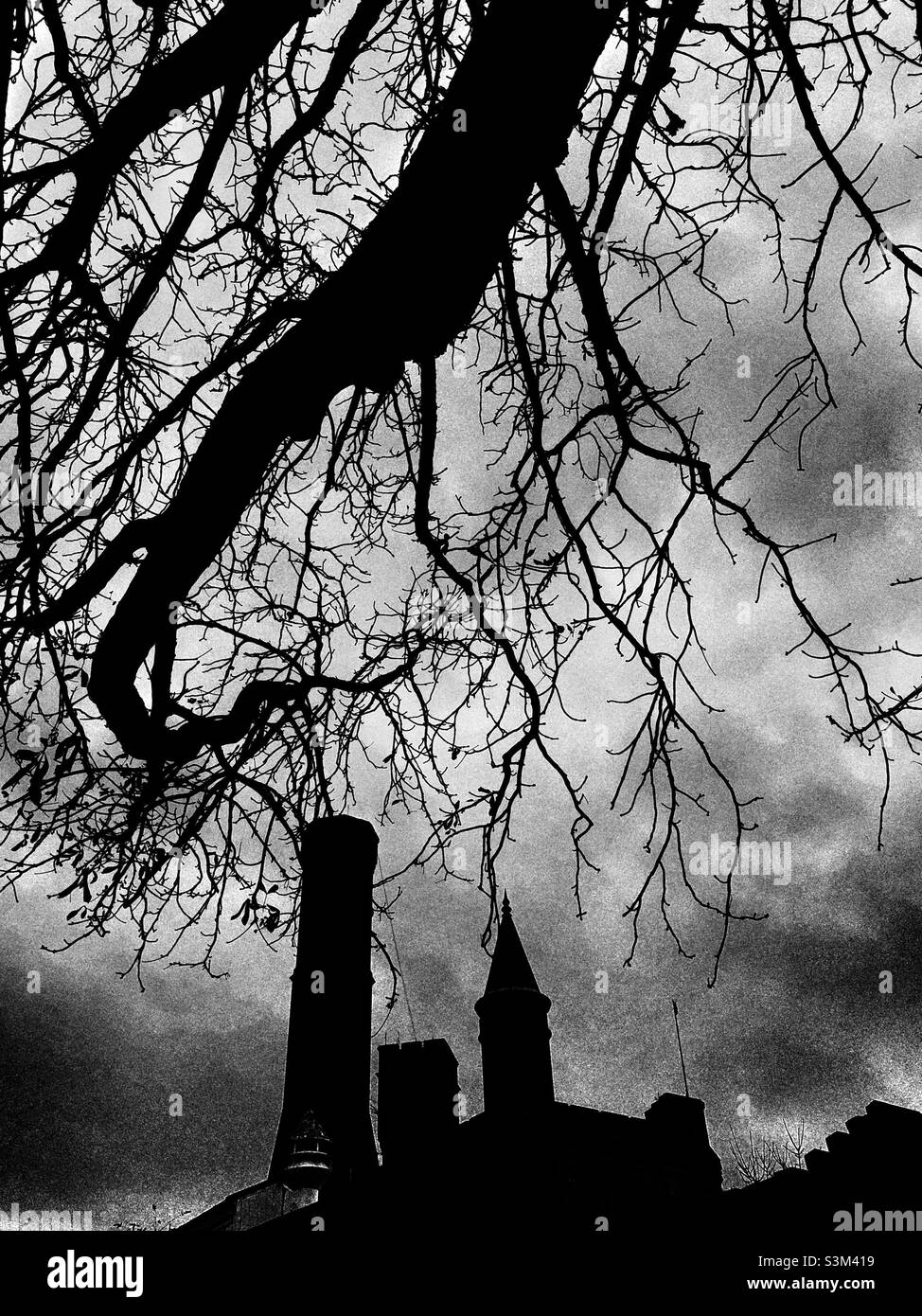 Gothic tree Black and White Stock Photos & Images - Alamy