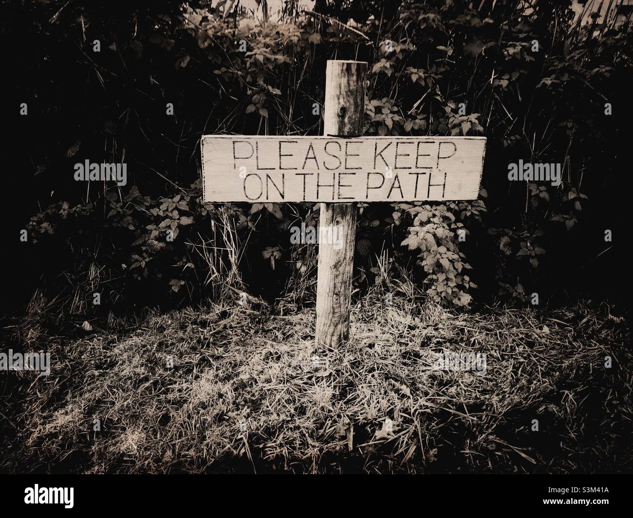 Road sign saying please keep on the path Stock Photo - Alamy