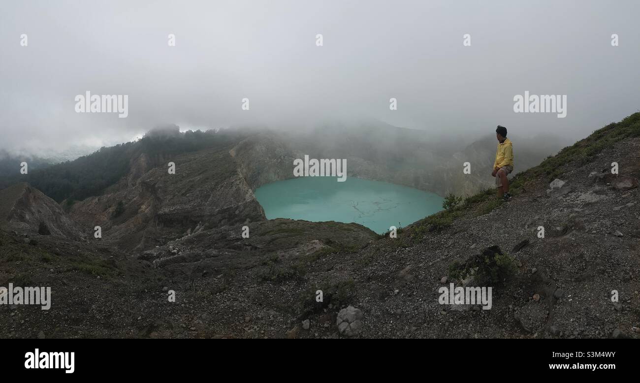 Ende flores hi-res stock photography and images - Alamy