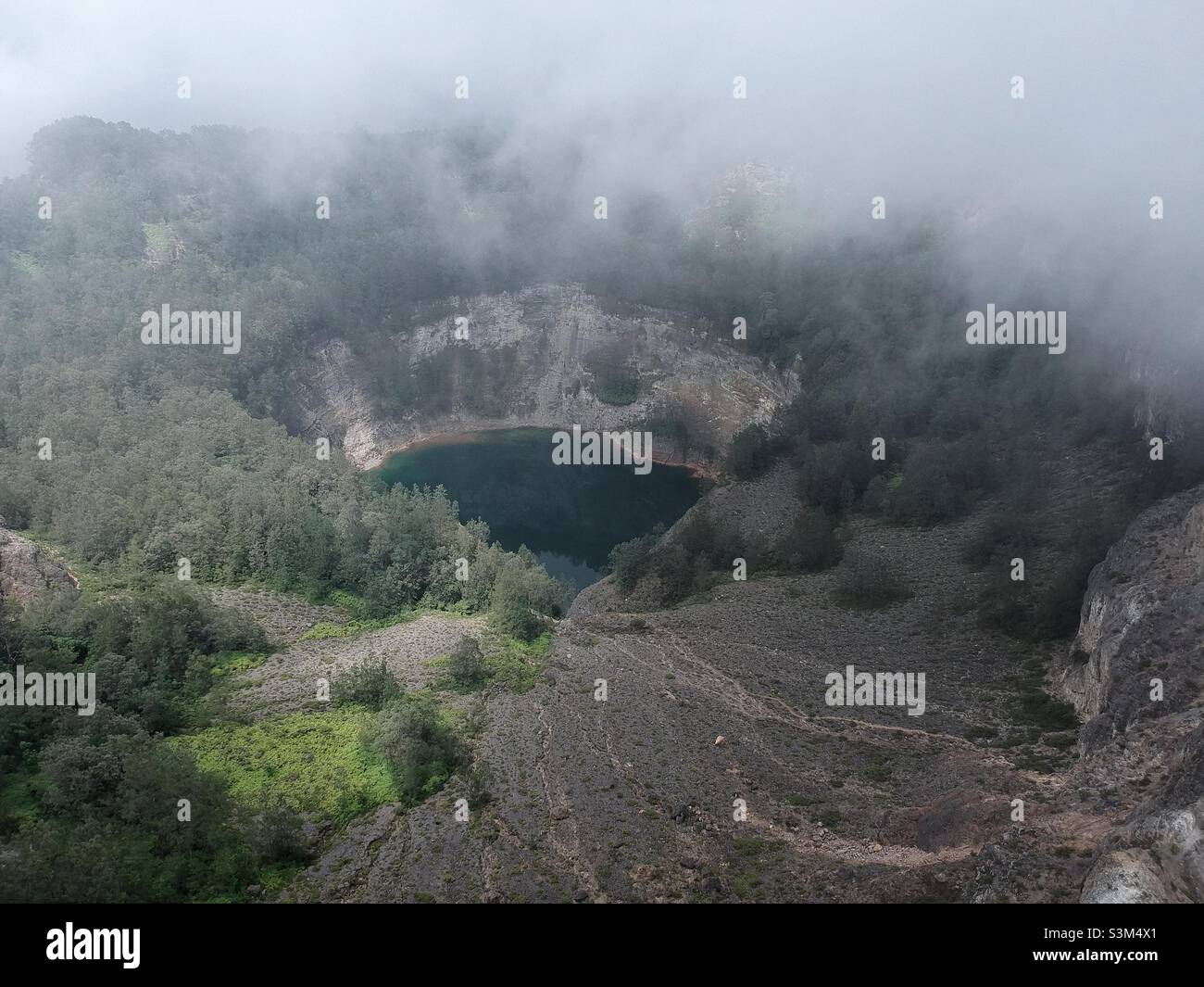 Ende flores hi-res stock photography and images - Alamy