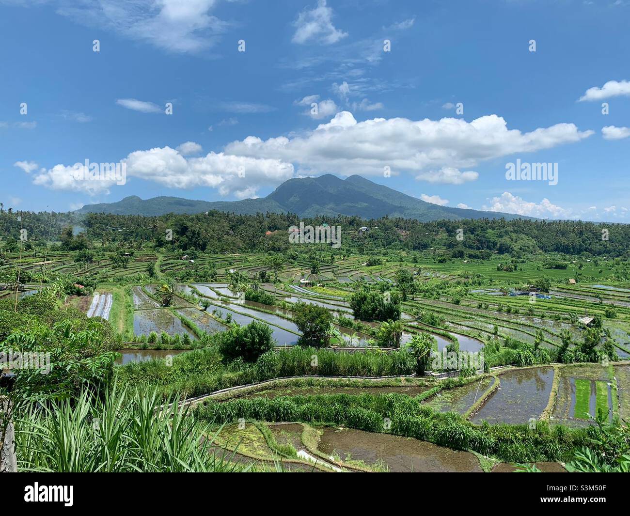 Volcano & rice fields Stock Photo - Alamy