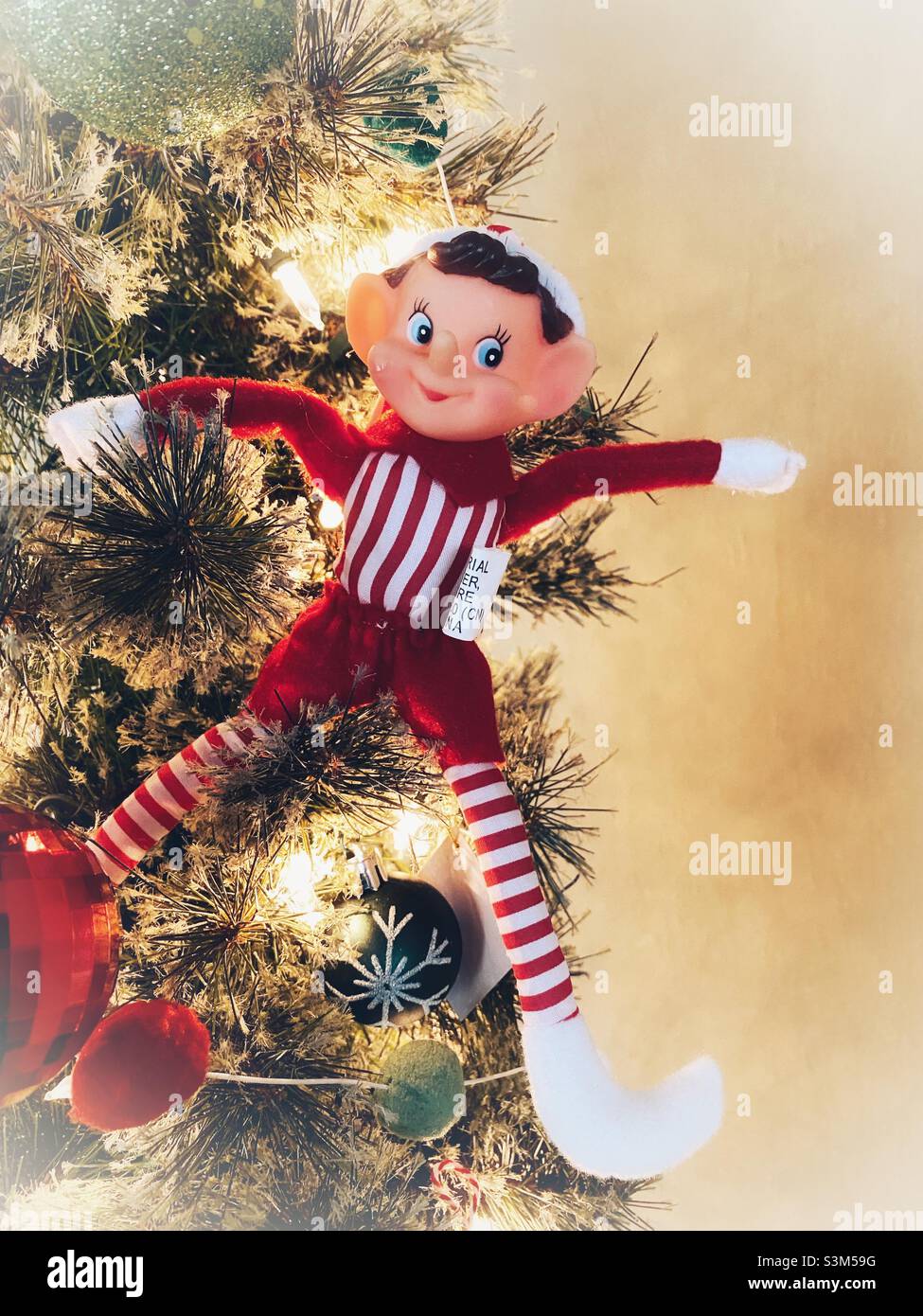 An elf hanging on to the limb of a Christmas tree Stock Photo - Alamy