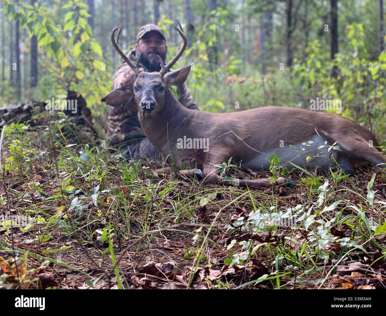 Buck shot hi-res stock photography and images - Alamy