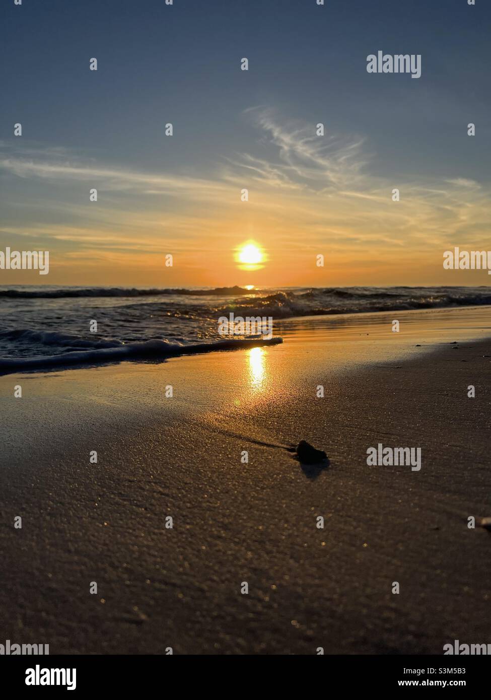 Low perspective golden beach sunset Stock Photo - Alamy
