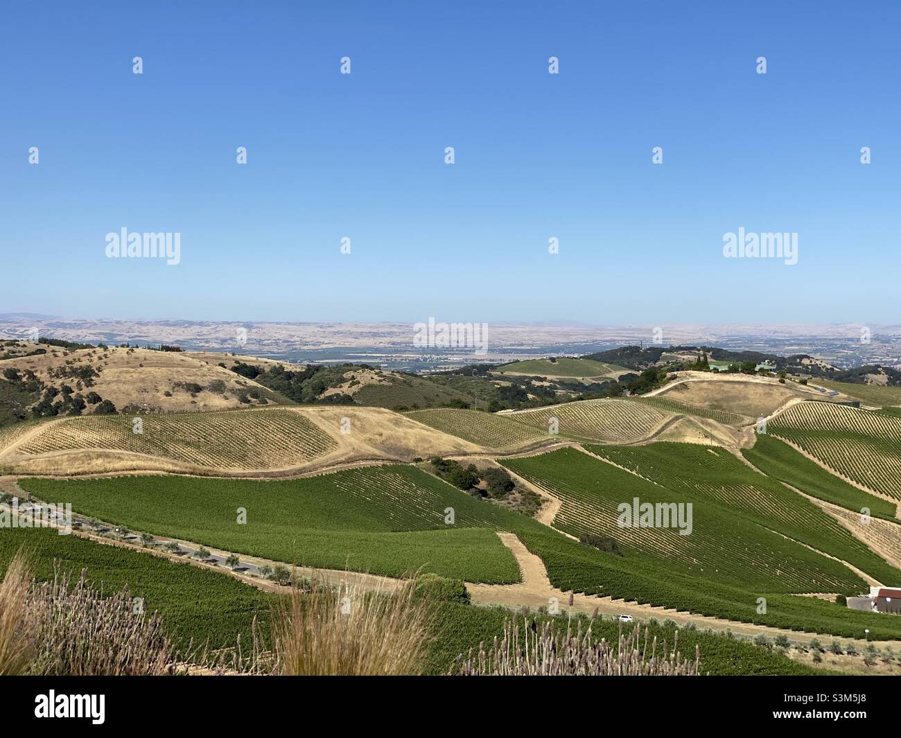 Paso winery hi-res stock photography and images - Alamy