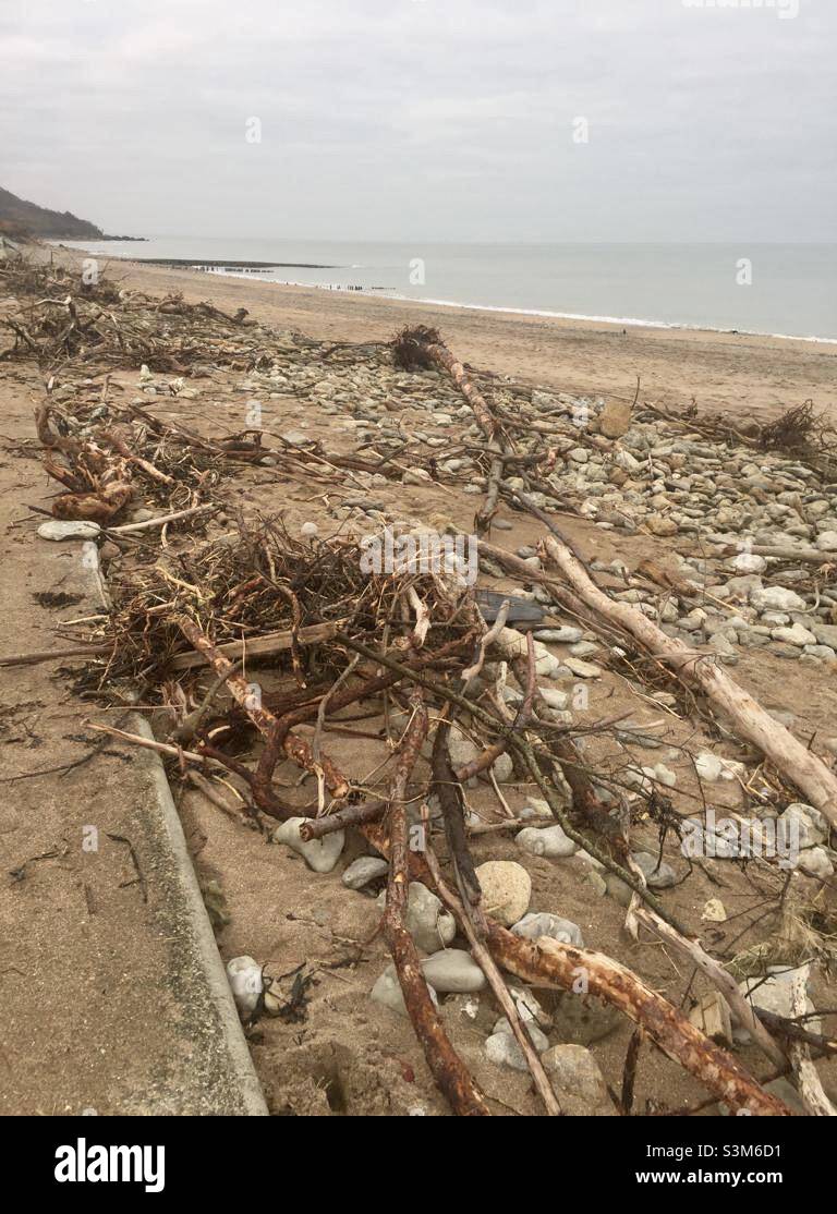 Debris after storm hi-res stock photography and images - Alamy