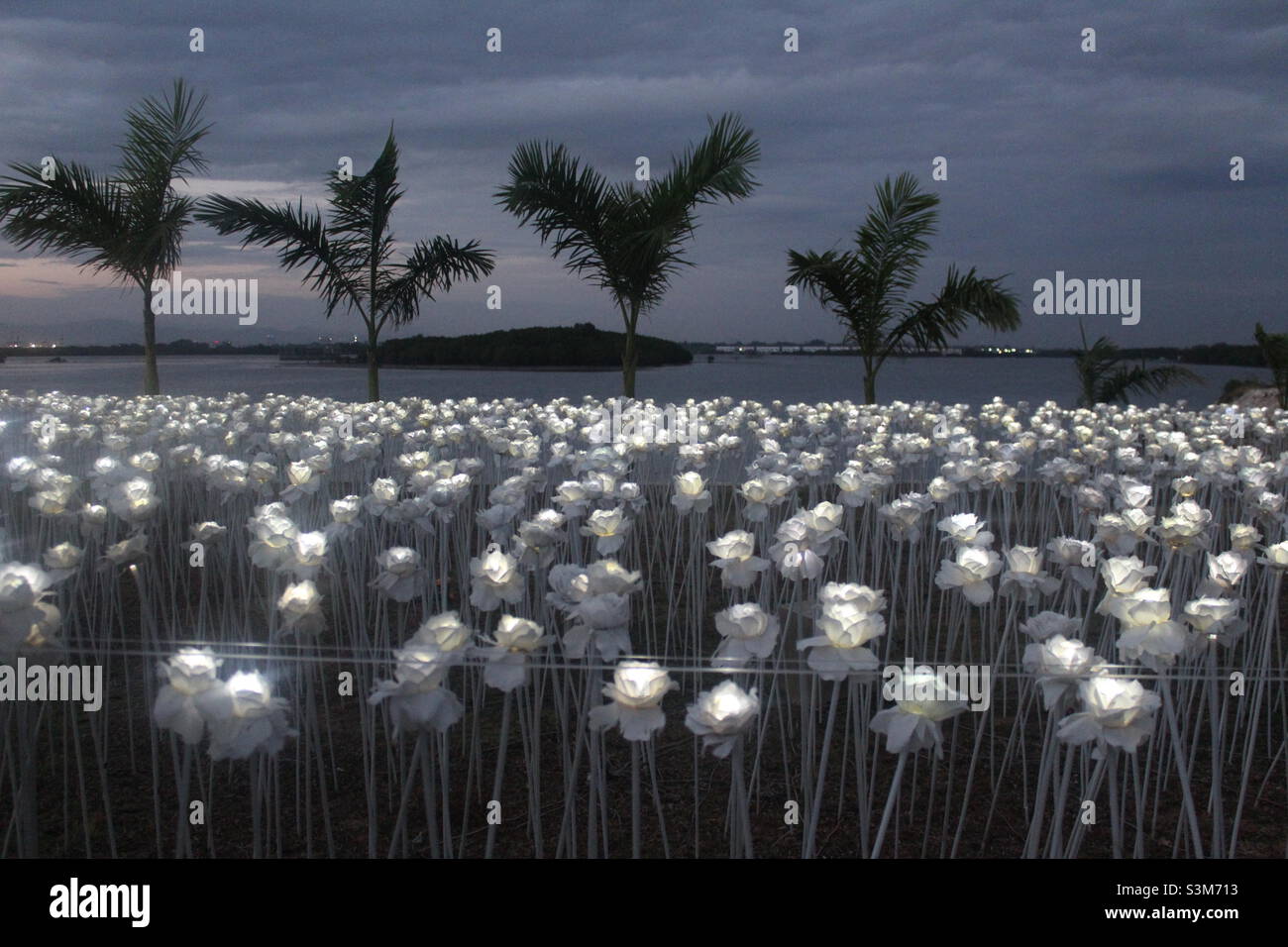 10000 roses café hi-res stock photography and images - Alamy