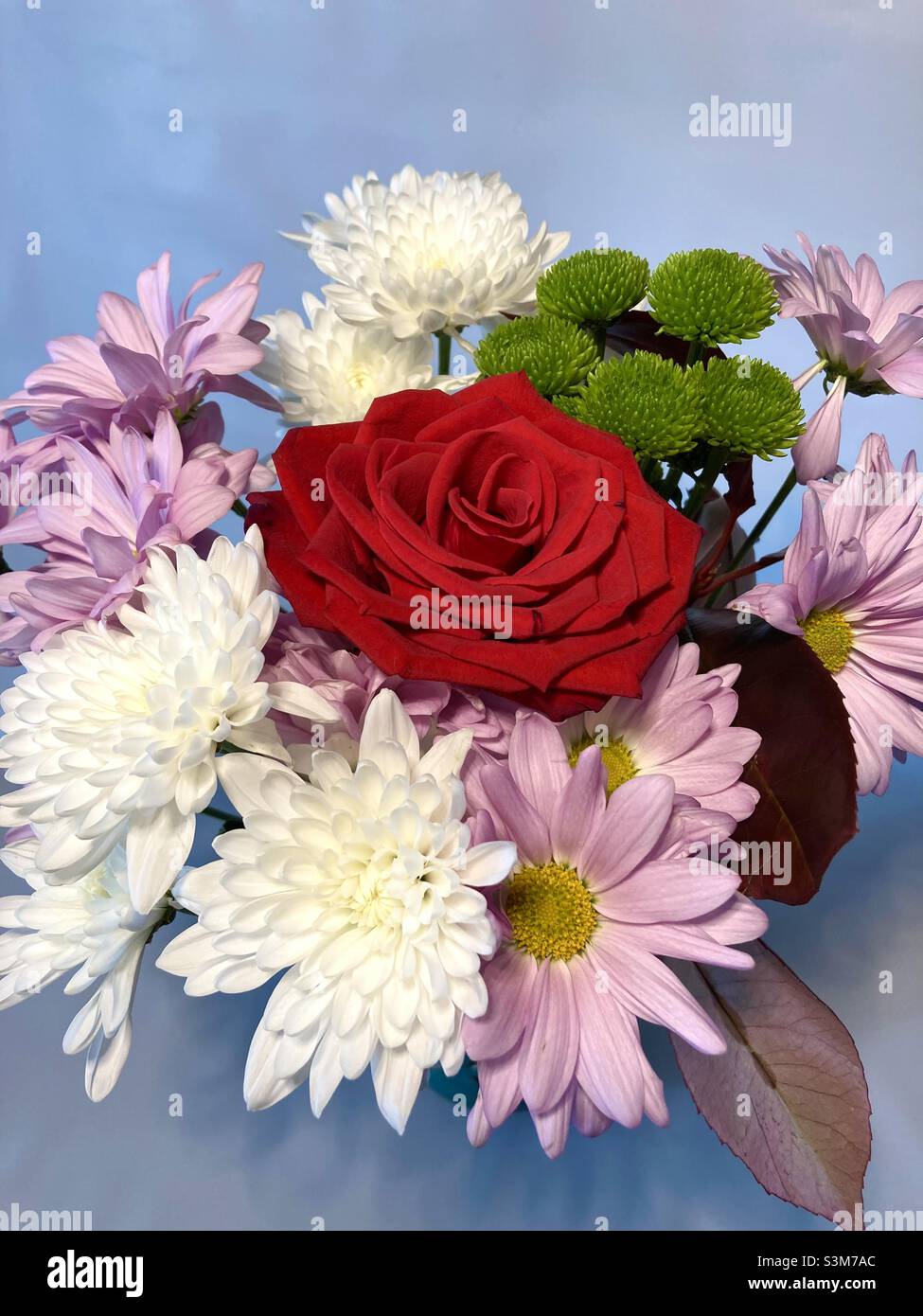 Closeup mixed flowers hi-res stock photography and images - Alamy