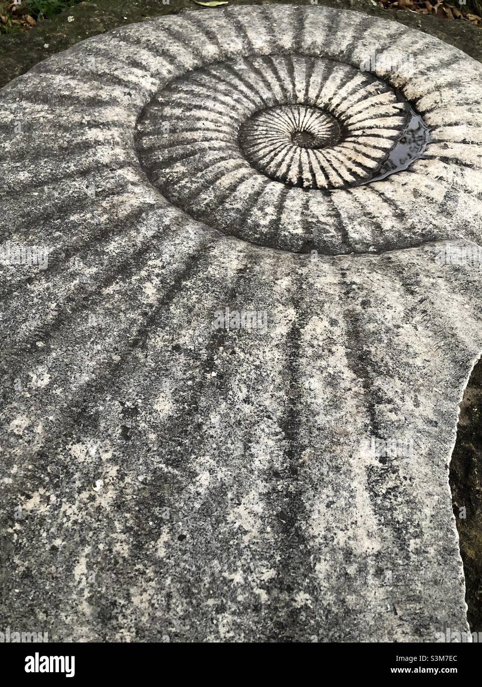 Spiral sculpture hi-res stock photography and images - Alamy