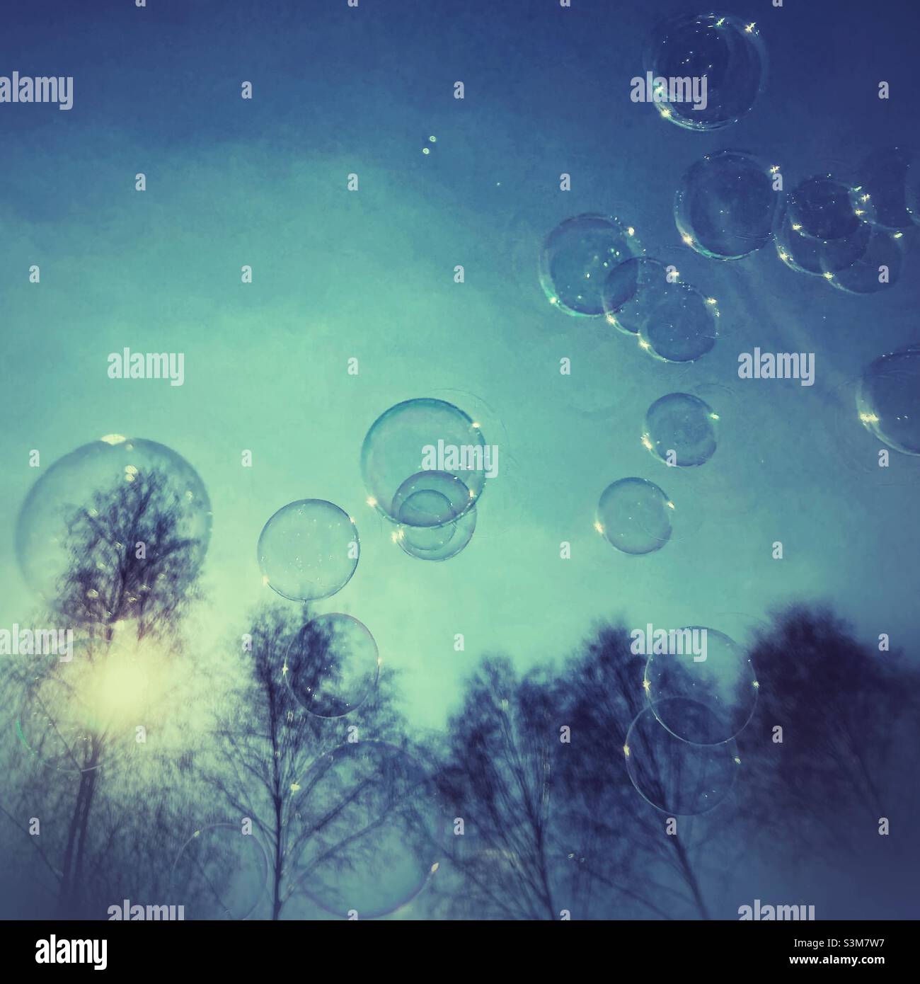 Bubbles In Sunlight Stock Photo - Alamy