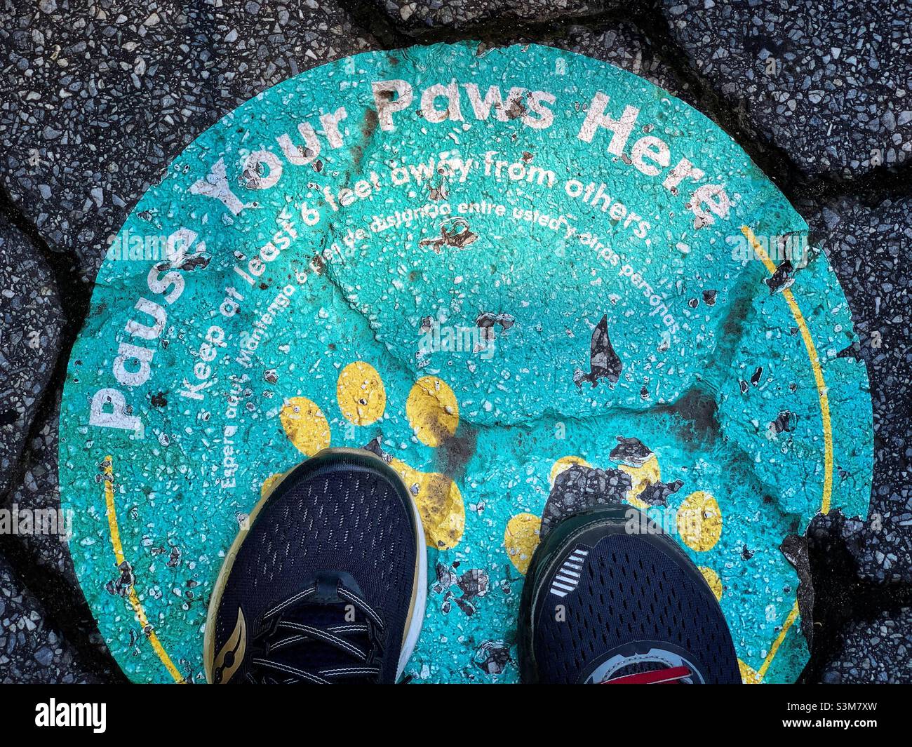 Pause your paws here Stock Photo - Alamy