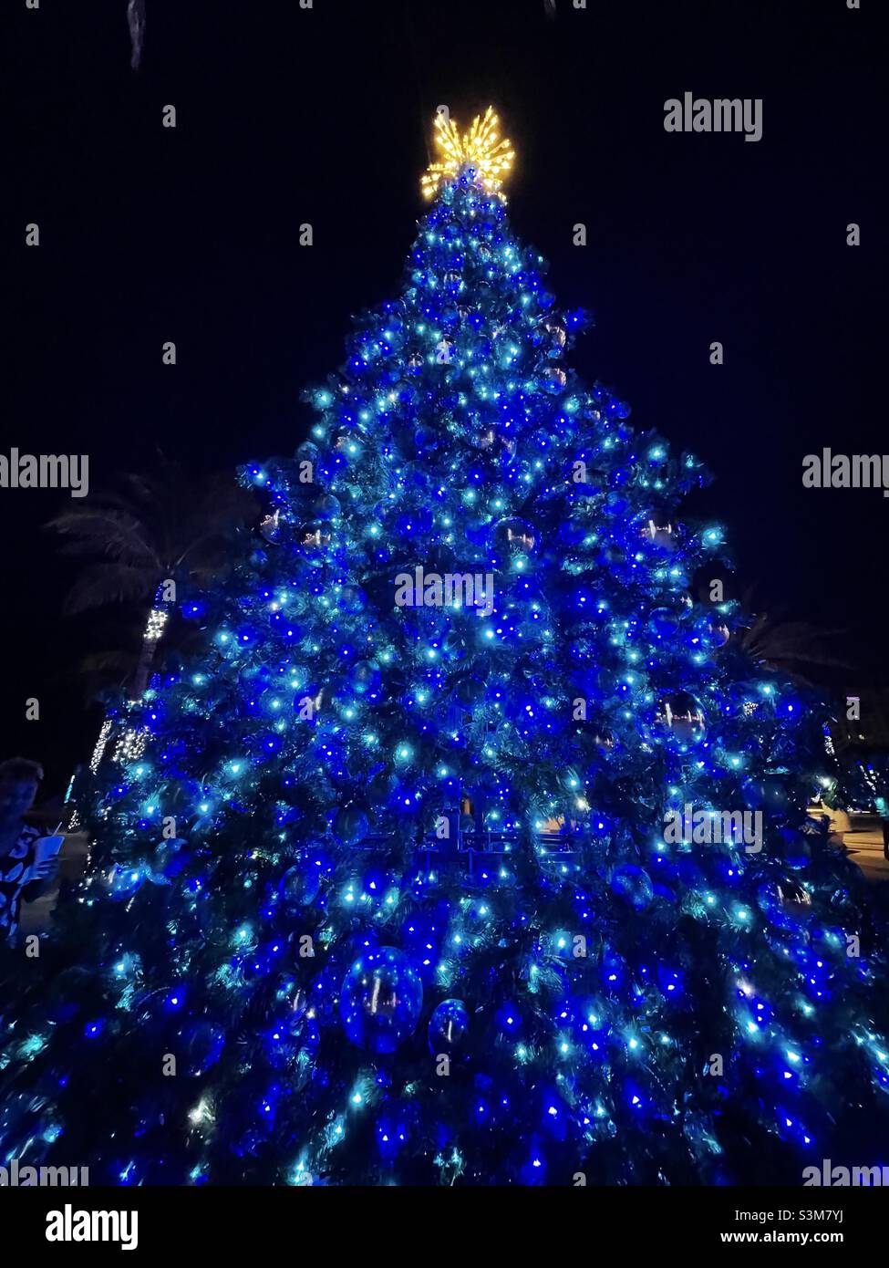 Fort lauderdale night beach hi-res stock photography and images - Alamy