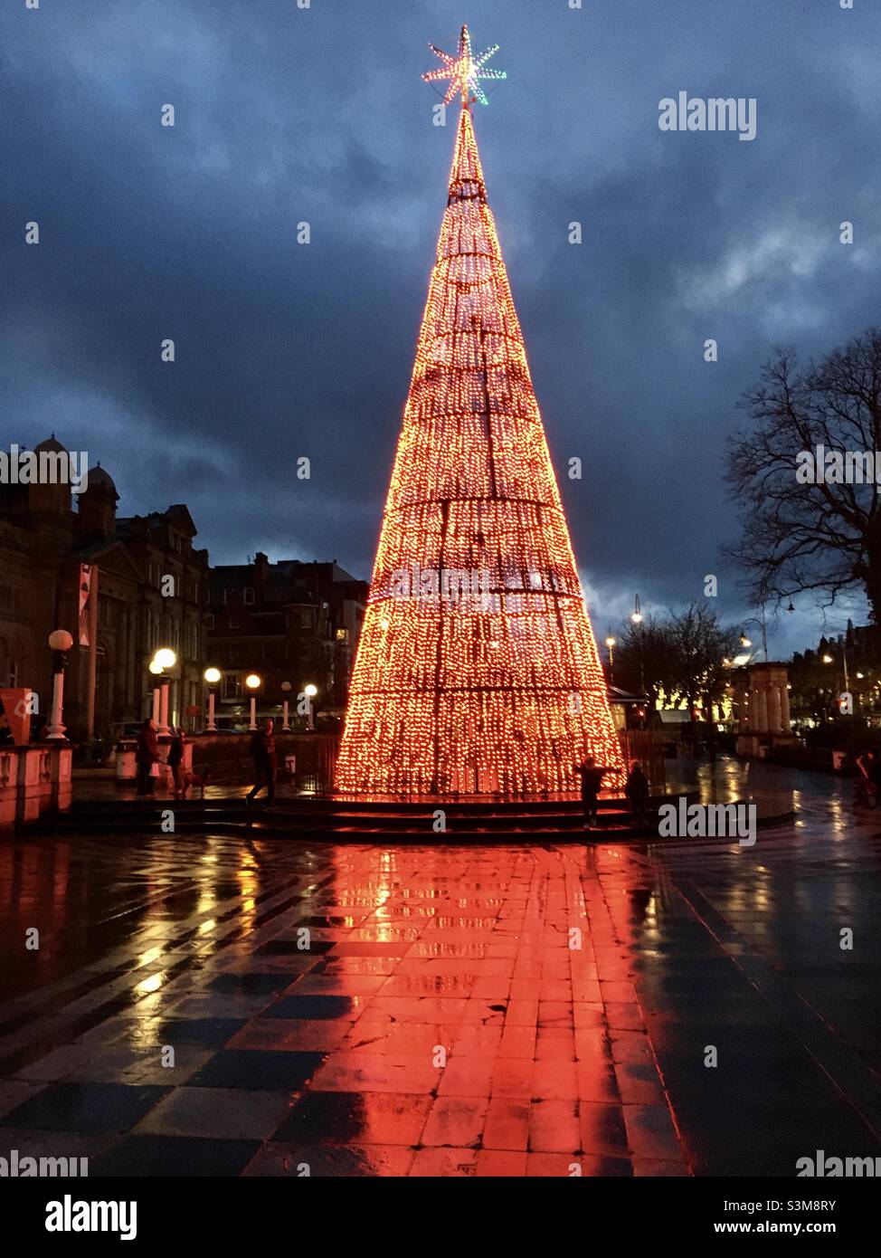 Wet christmas tree hi-res stock photography and images - Alamy