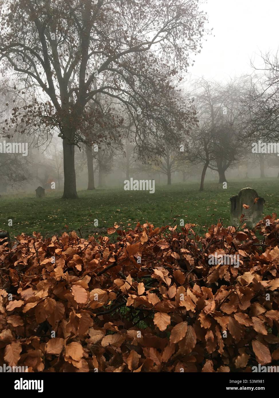 Baron’s Court, London Stock Photo - Alamy