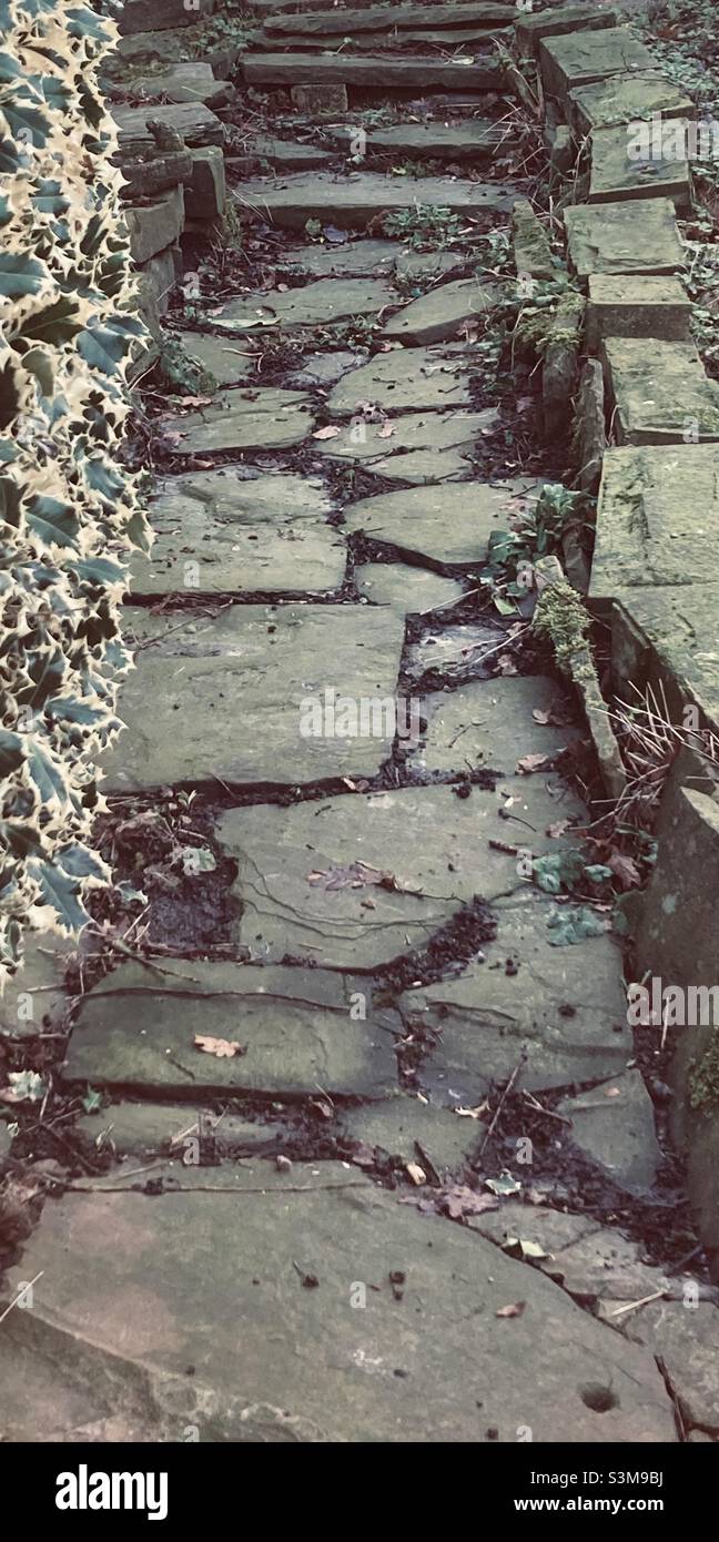 Crazy paving in garden hi-res stock photography and images - Alamy