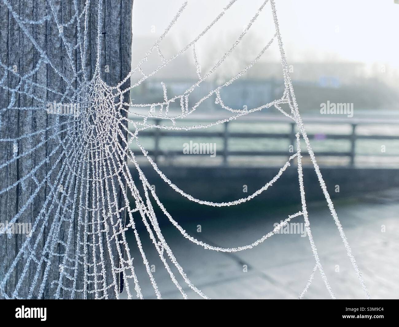 Cobweb ice frost hi-res stock photography and images - Alamy