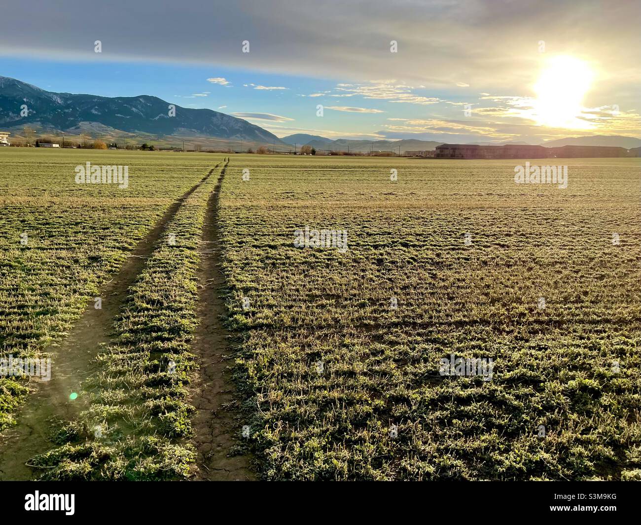 Field path at sunset hi-res stock photography and images - Alamy