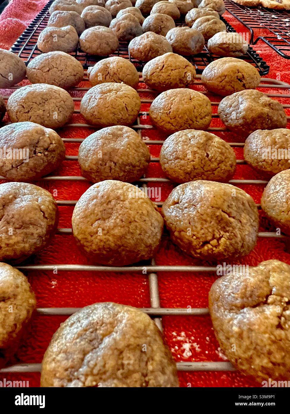 Baked cookies on cooling rack Stock Photo - Alamy
