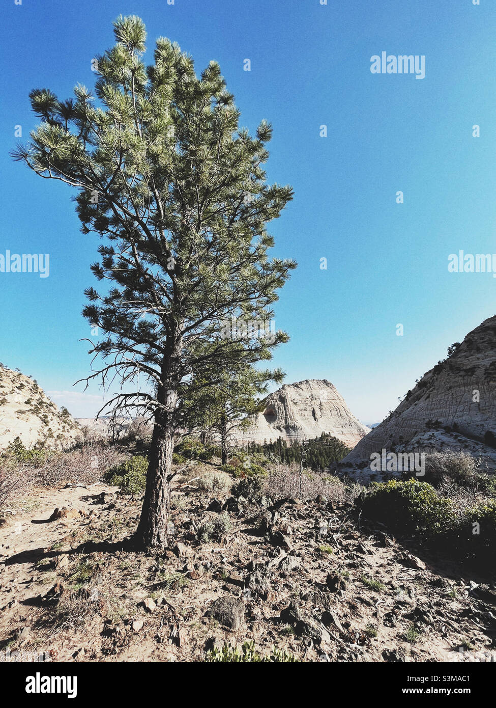 Beautiful zion hi-res stock photography and images - Alamy