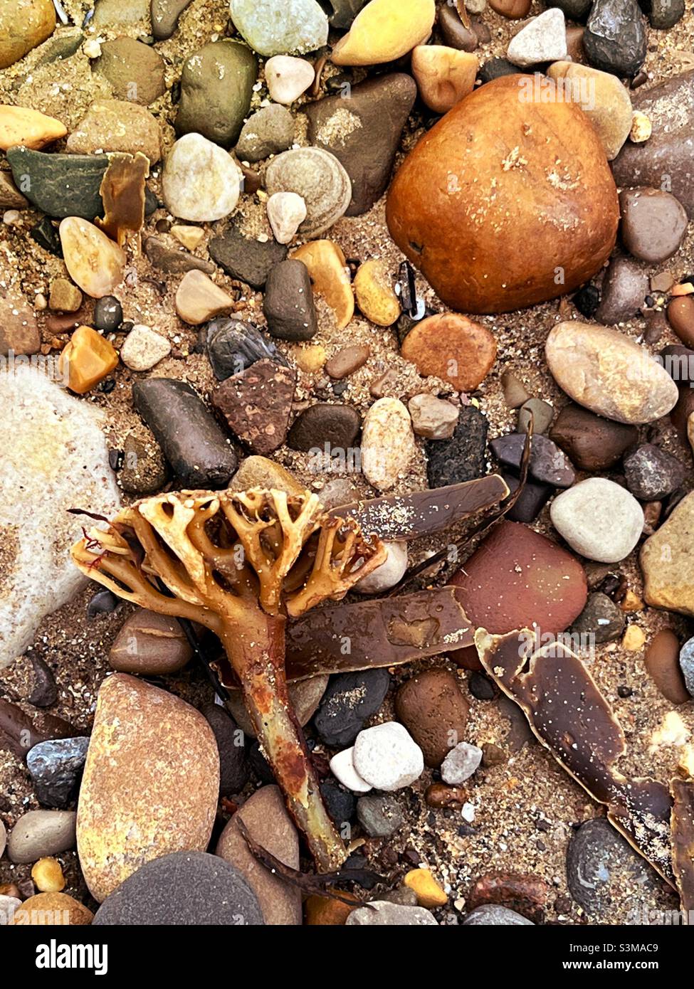Rocks and pebbles Stock Photo - Alamy