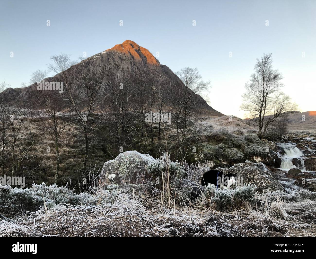 Pawed hi-res stock photography and images - Alamy