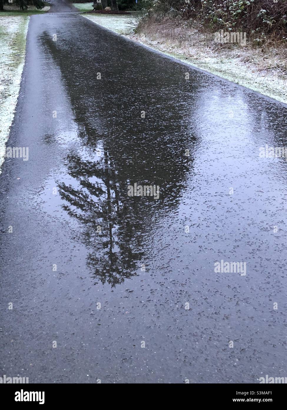 Water reflection at road hi-res stock photography and images - Alamy