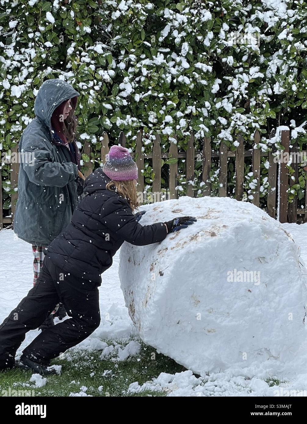 Kids roll huge snow ball Stock Photo - Alamy