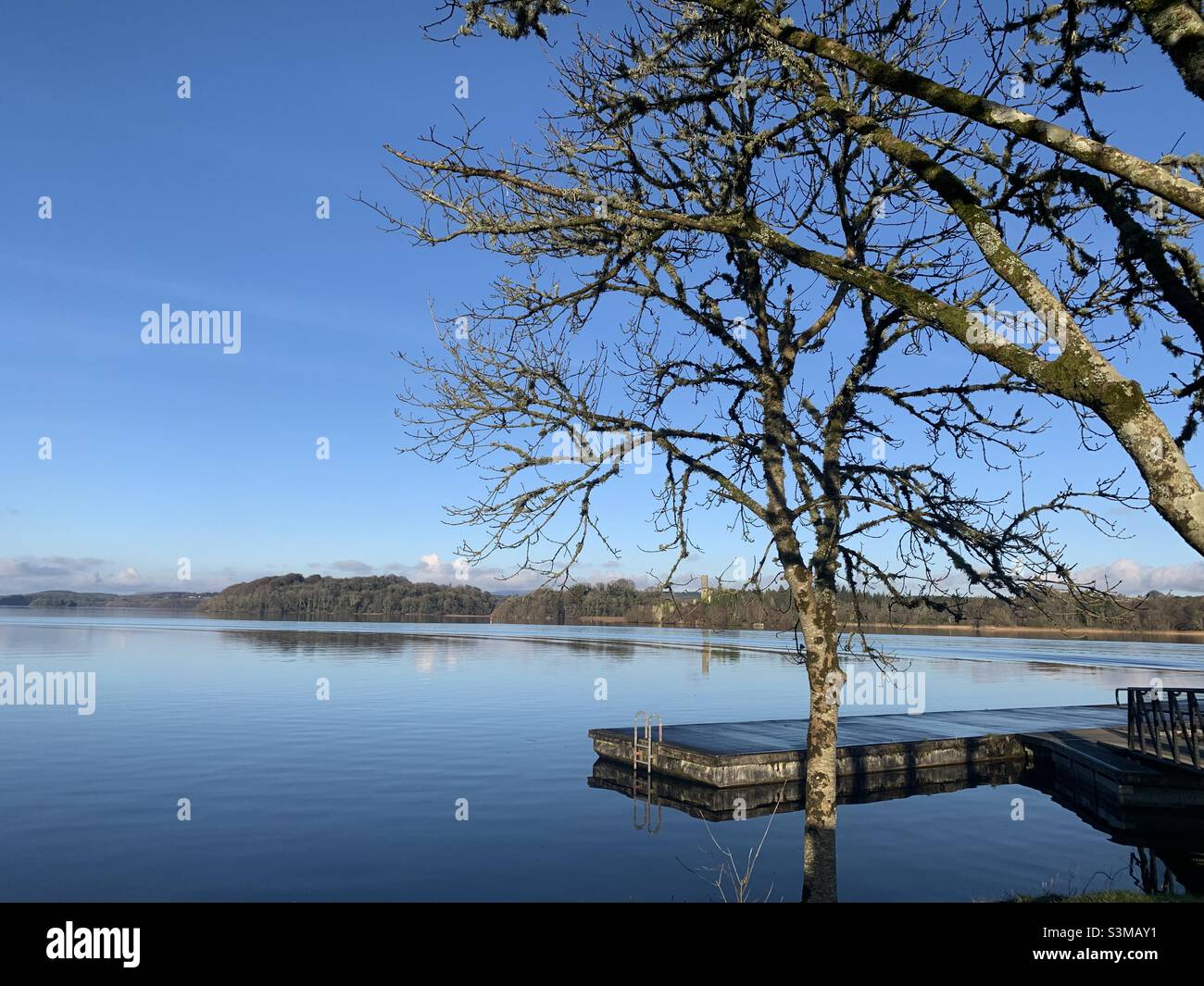 Lough key forest park hi-res stock photography and images - Alamy