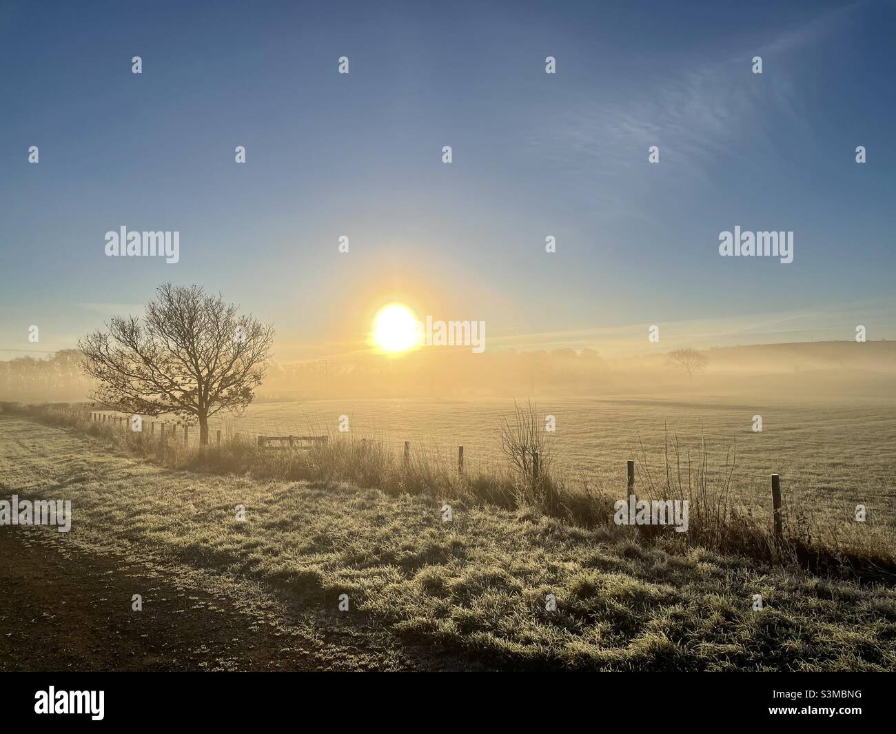 Winter morning Sunshine Stock Photo - Alamy