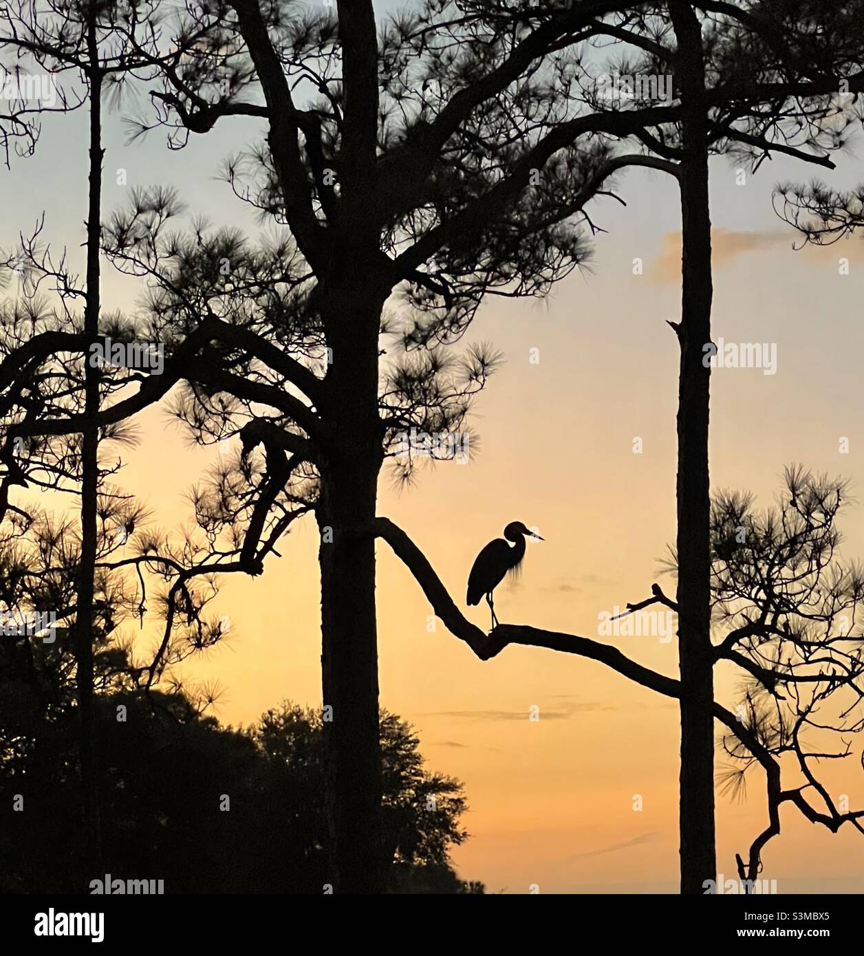 Sunset silhouettes hi-res stock photography and images - Alamy