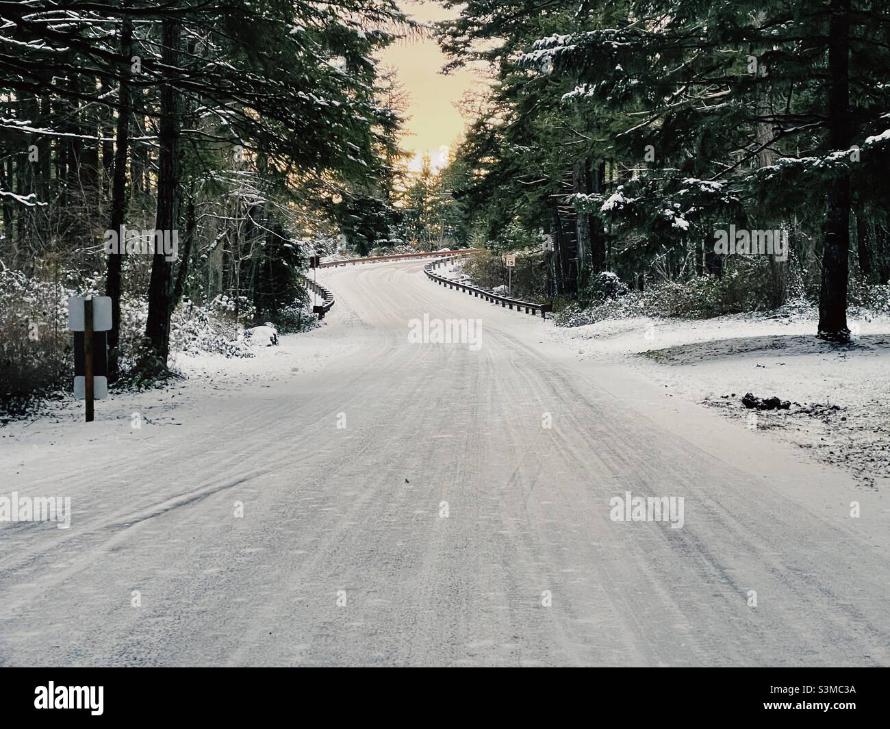 Dusk trees and snow hi-res stock photography and images - Alamy