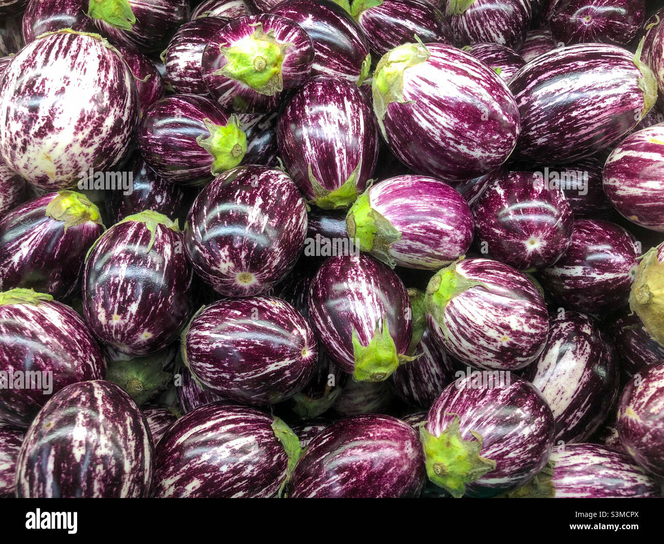 Ravaiya hi-res stock photography and images - Alamy