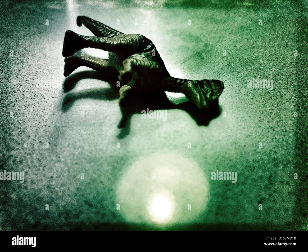 Fallen toy dinosaur Stock Photo - Alamy