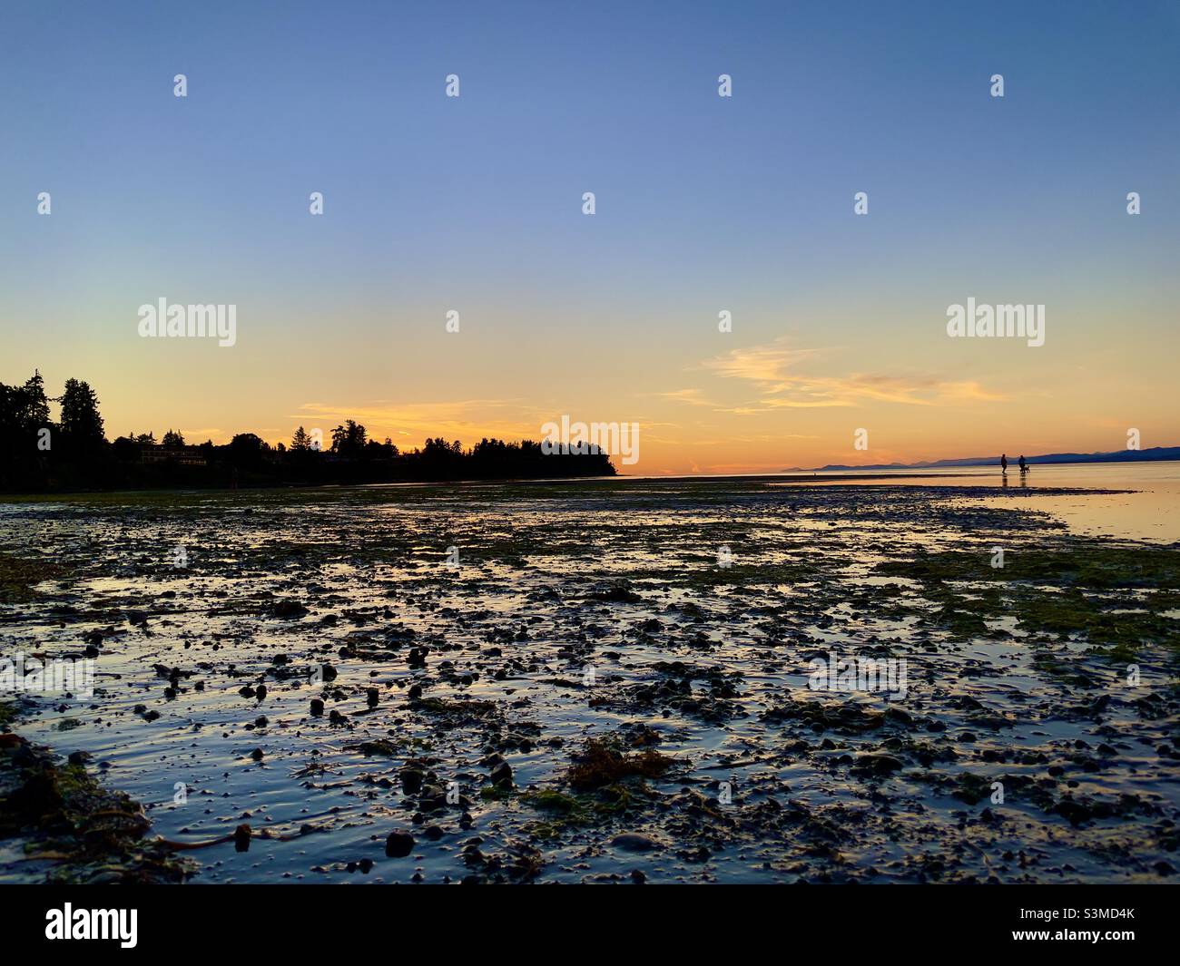 Parksville beach hi-res stock photography and images - Alamy