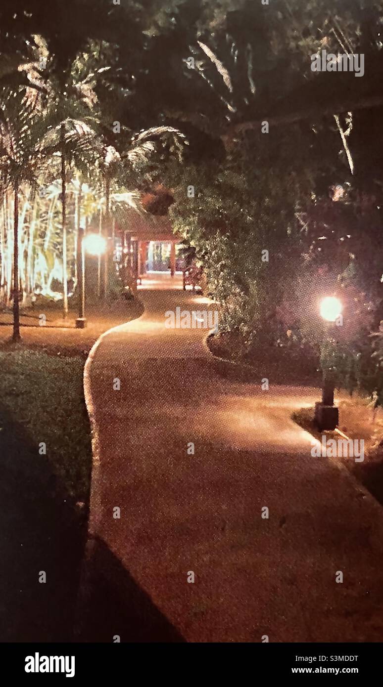 The palms resort hi-res stock photography and images - Alamy