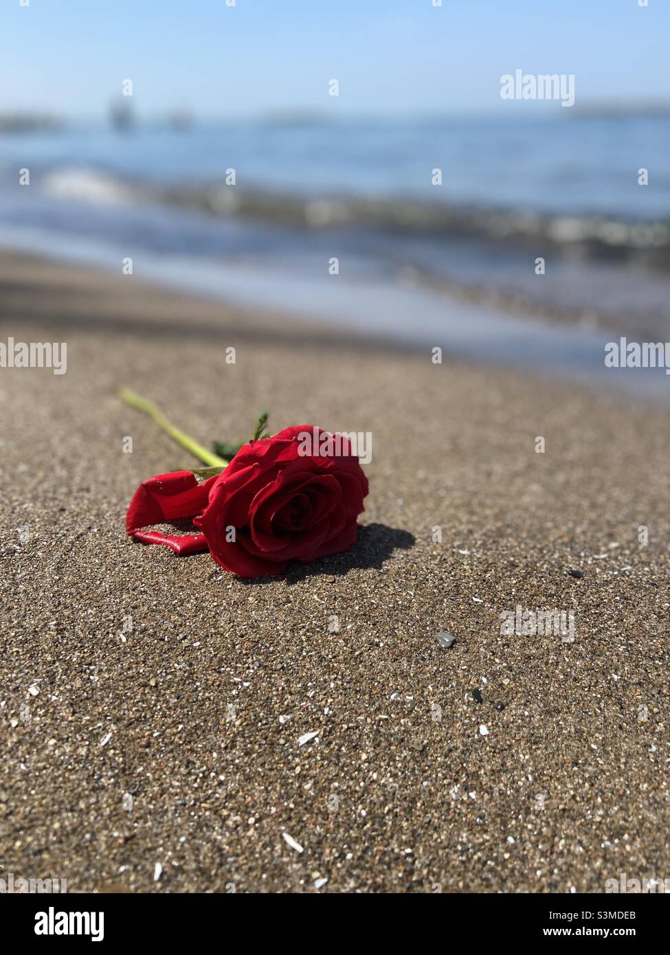 Rose Sand High Resolution Stock Photography and Images - Alamy
