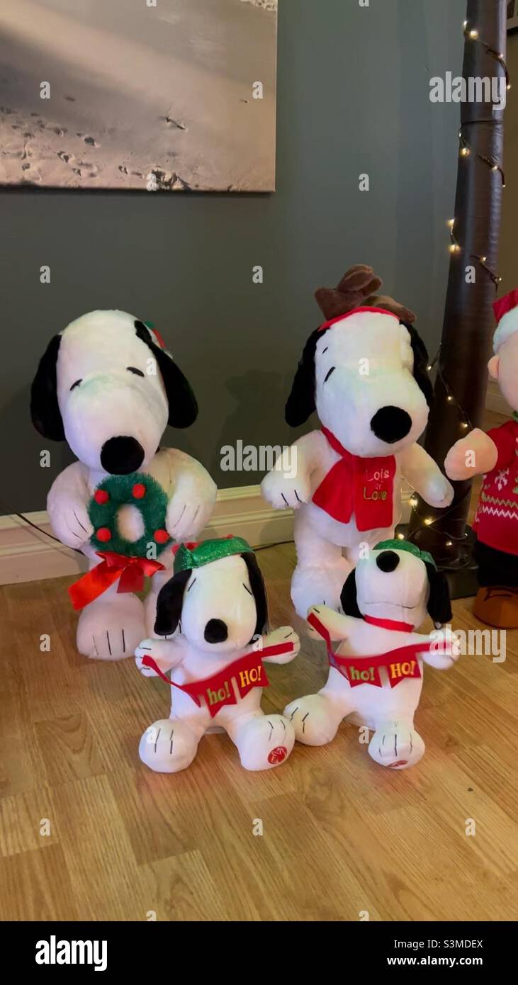 Mrs snoopy hi-res stock photography and images - Alamy