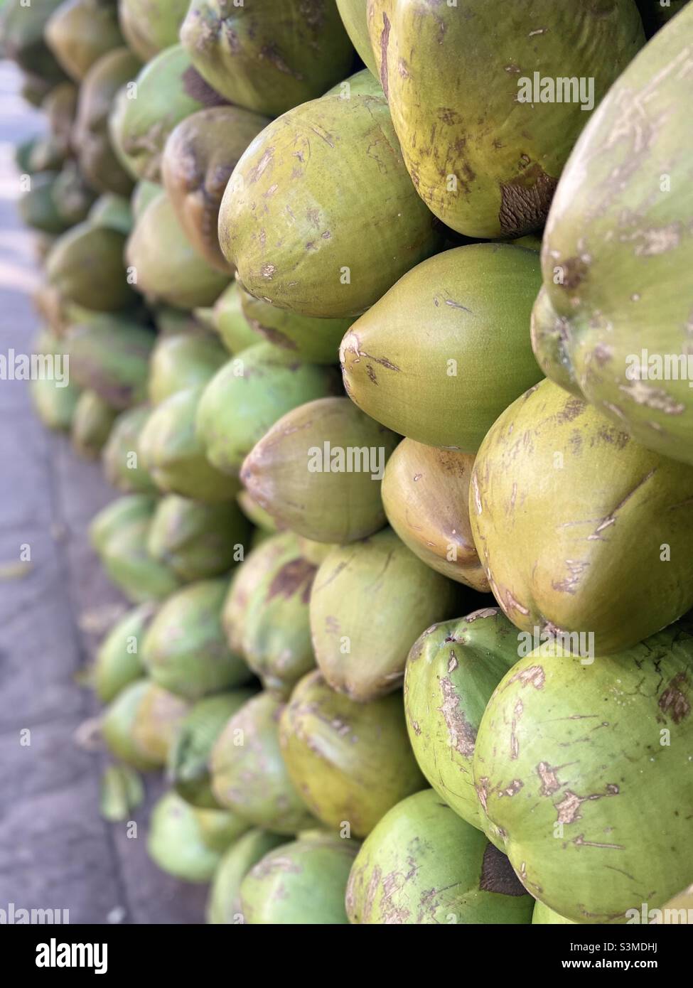 Fresh tender coconut hi-res stock photography and images - Alamy